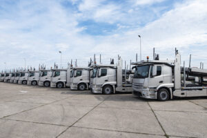 GVMS – what is it? How and when should you register? • Blog Global24